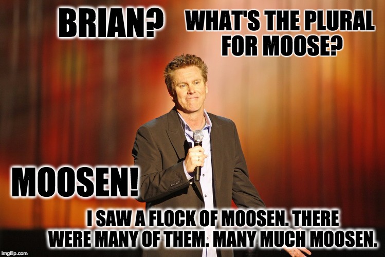 The Greatest Brian Regan Classic Bits as Decided by New York Comedians ...